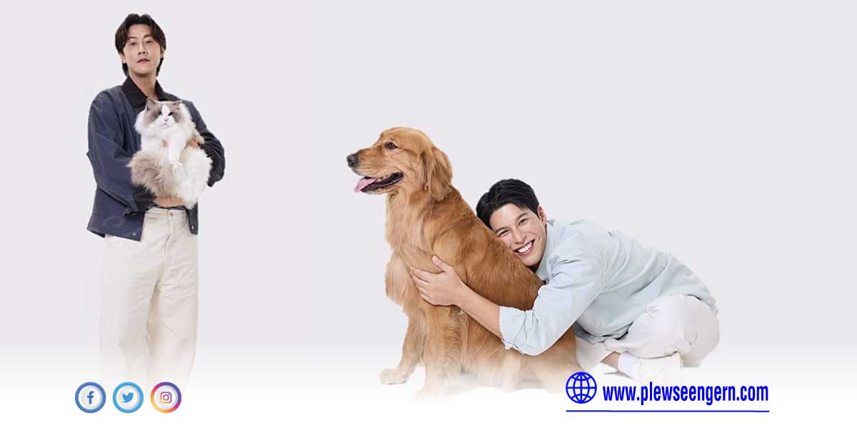 JerHigh-Jinny ทุกมื้อคือความรัก ดัน 'พี่จอง-คัลแลน' นั่งแท่นพรีเซ็นเตอร์ 2 ปีซ้อน ขยายความสำเร็จ ...